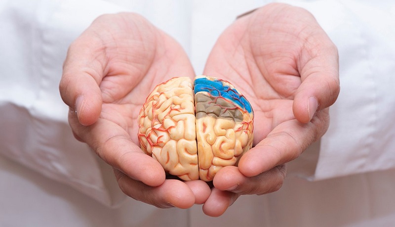 علائم بیماری آلزایمر و راه های درمان و پیشگیری آن چیست؟ مجله سلامت دکترتو